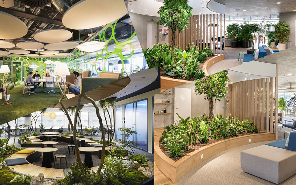 Visual Merchandisers, Take Note! Why Biophilic Design is Shaping the ...